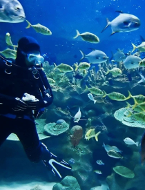 Book Tour & Trip Packages, Activities, Things to Do, Sightseeing