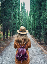 Book Tour & Trip Packages, Activities, Things to Do, Sightseeing